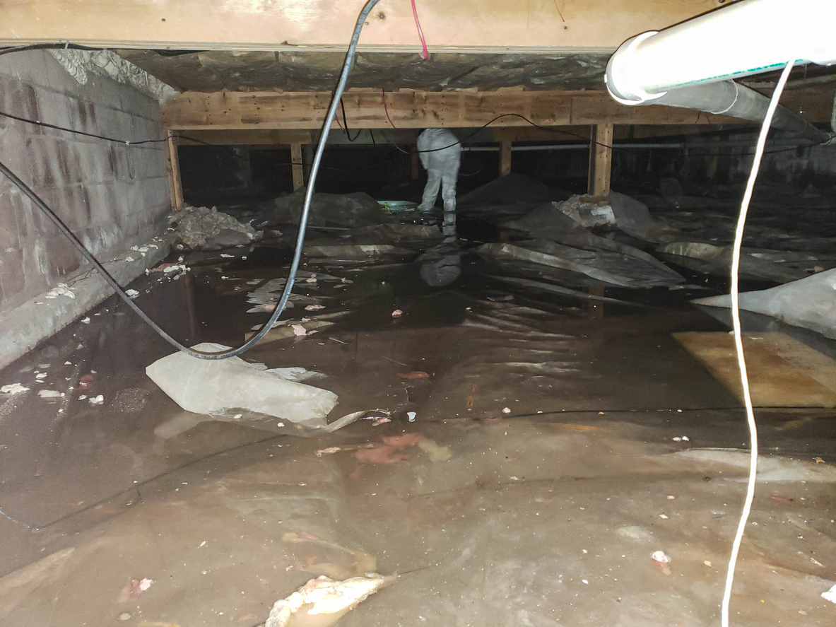 Crawl Space Repair | Total Restoration